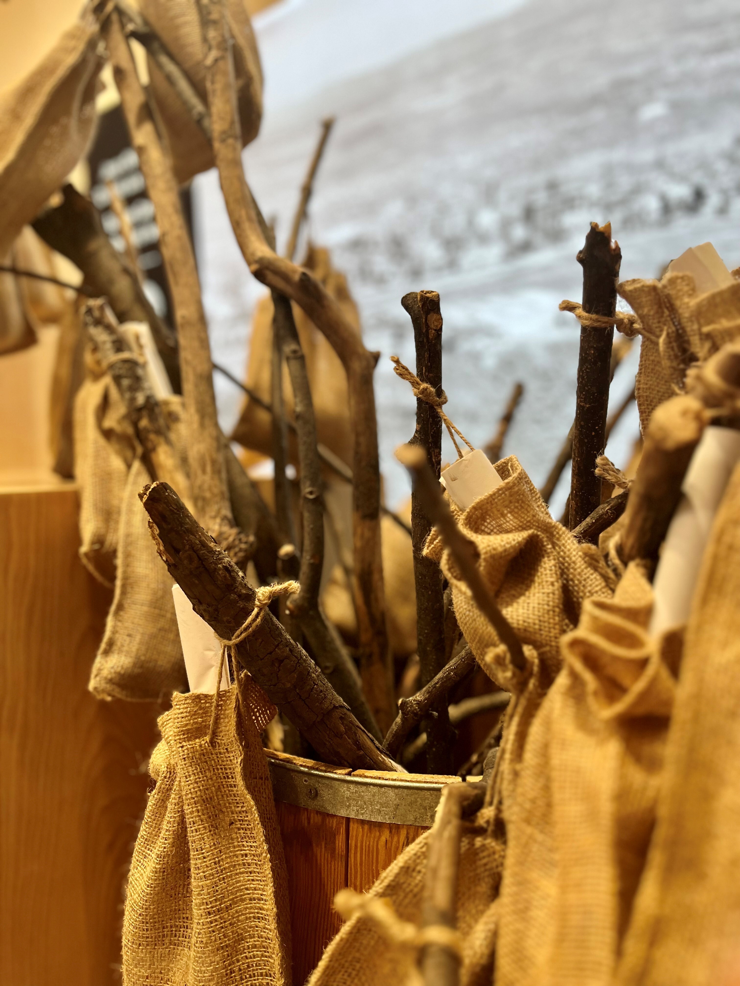 Activités et événements - Ville de Québec – Plaines d’Abraham